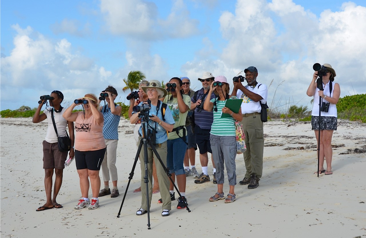 Birdwatching Tours: Grand Bahama Island & Vacations
