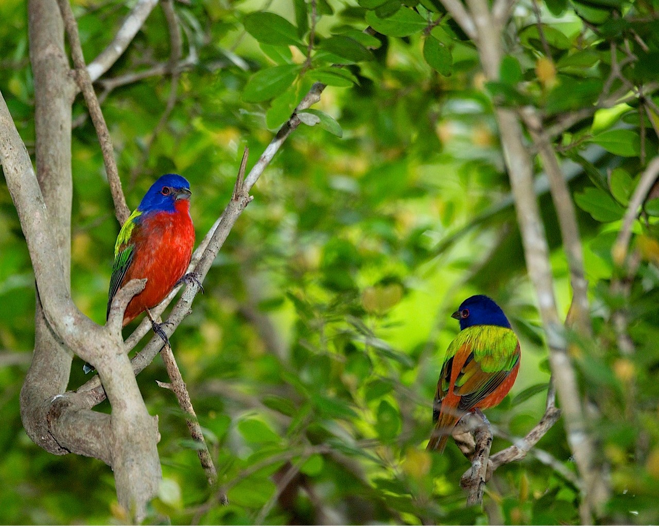 Grand Bahama Island Nature & Eco Tours